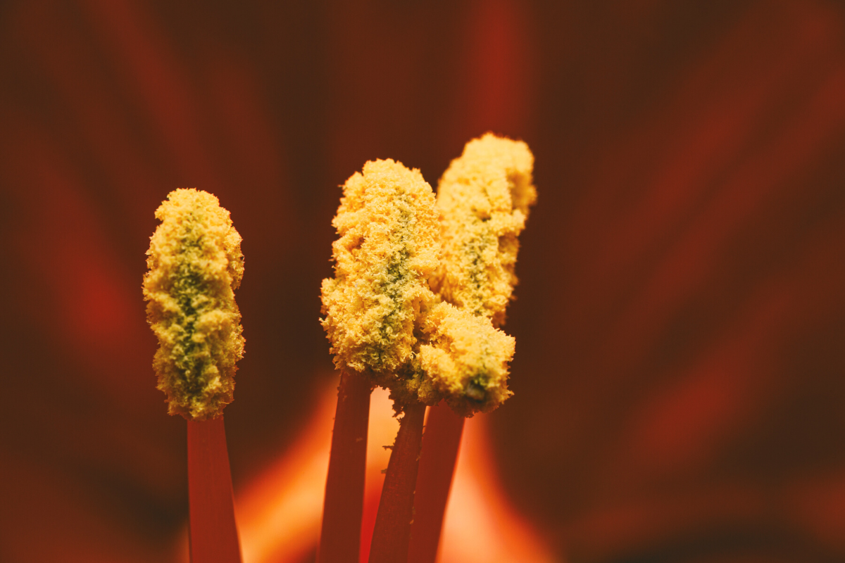 Can Hay Fever Affect My Skin? – Sönd